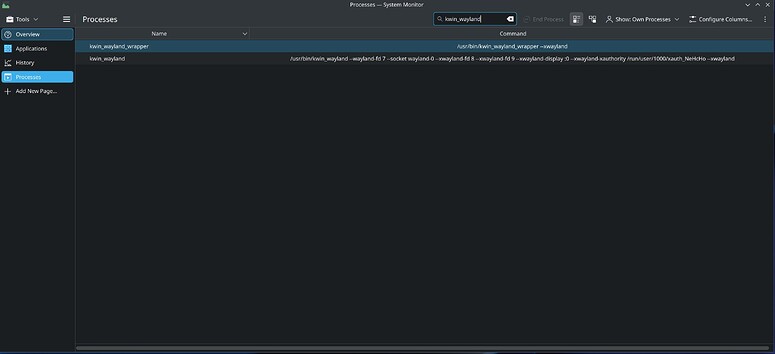 After a system upgrade, KDE Plasma (Wayland) fails to detect $DISPLAY - Help - KDE Discuss