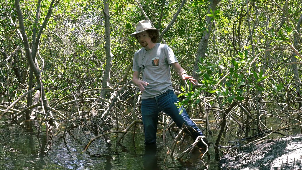 Inconsistent color performance - Help - KDE Discuss