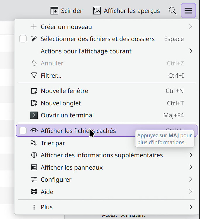 Dolphin: setting to show the hidden files by default - Help - KDE Discuss