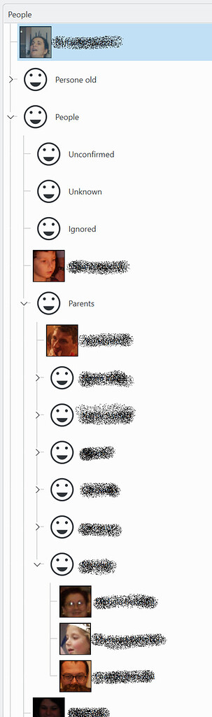 Issues with digiKam - Face Recognition - exifTool config - Help - KDE ...